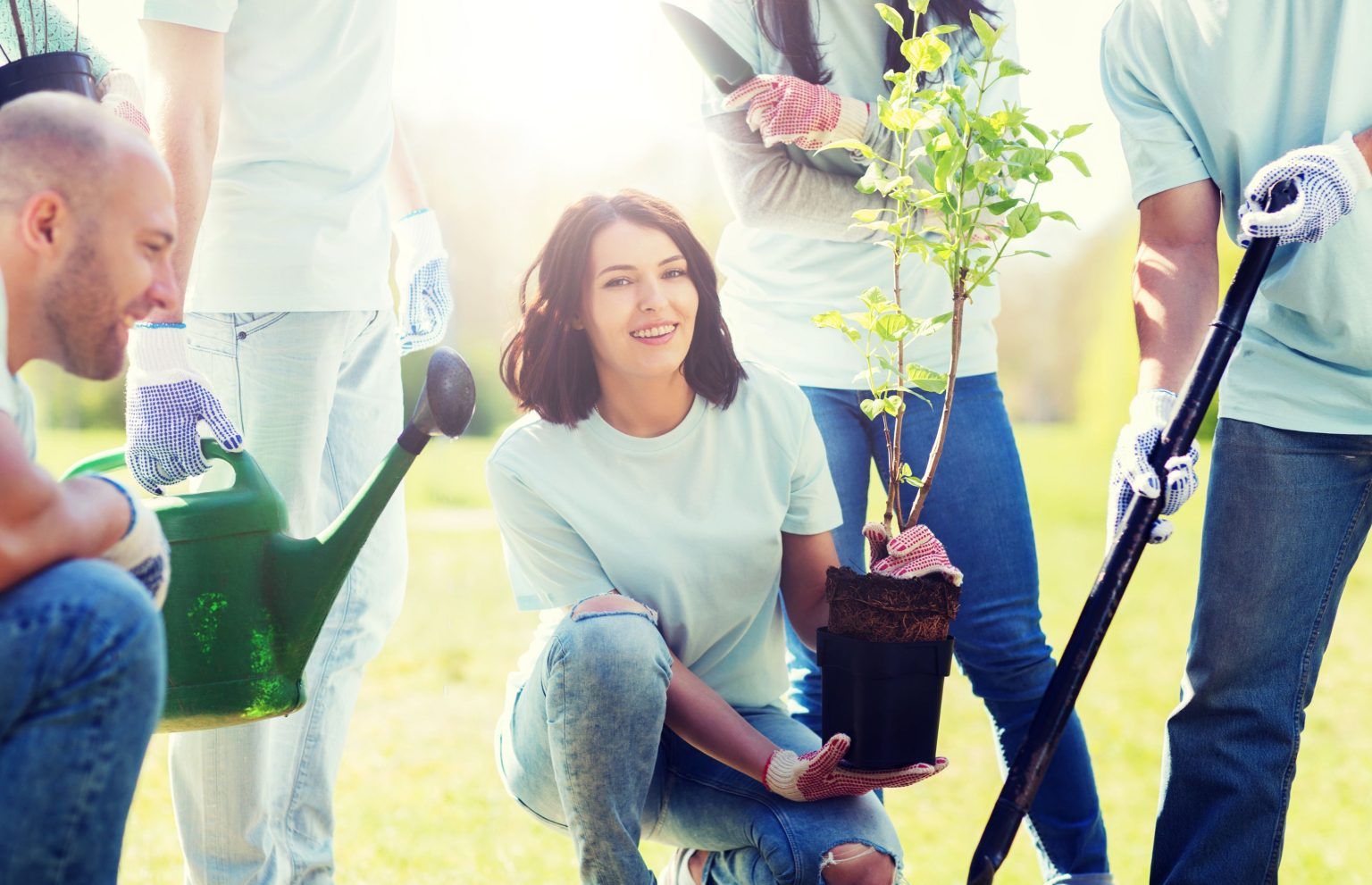 SFCU - Sidney Federal Credit Union | A Full-Service Financial Institution